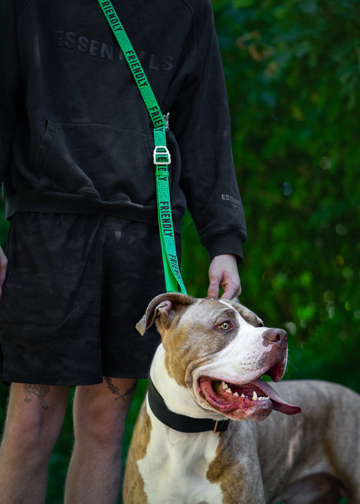 Leads & Long Lines – Track & Trail Canine Outfitters