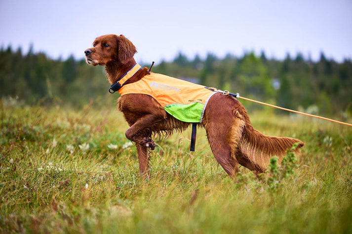 Protector Round Longline | 10M | Non-stop Dogwear – Track & Trail ...